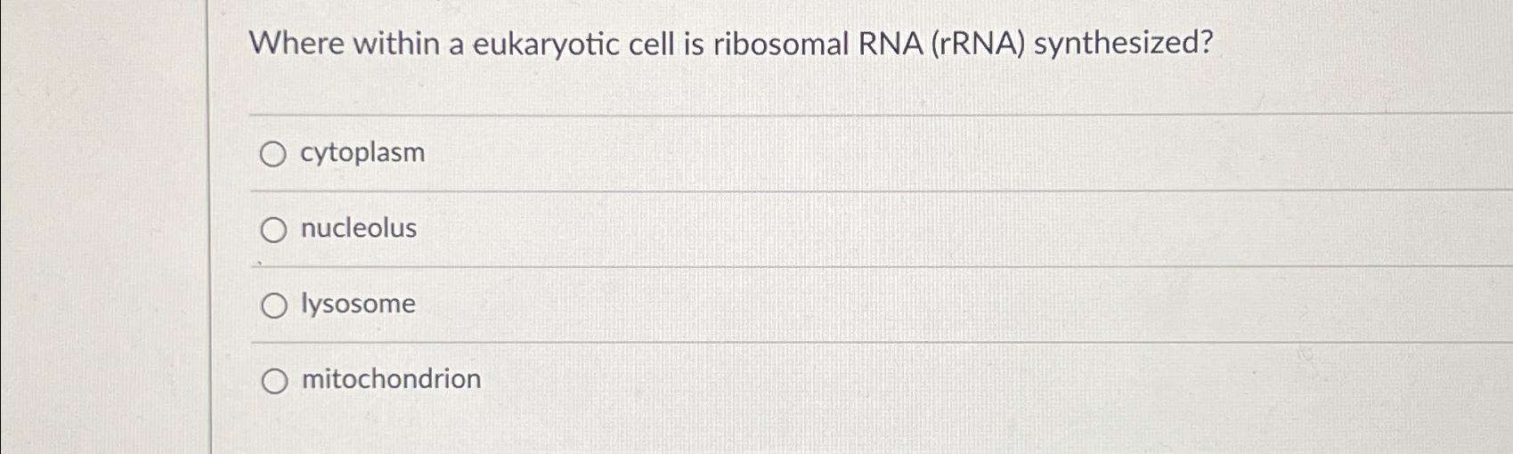 Solved Where within a eukaryotic cell is ribosomal RNA | Chegg.com