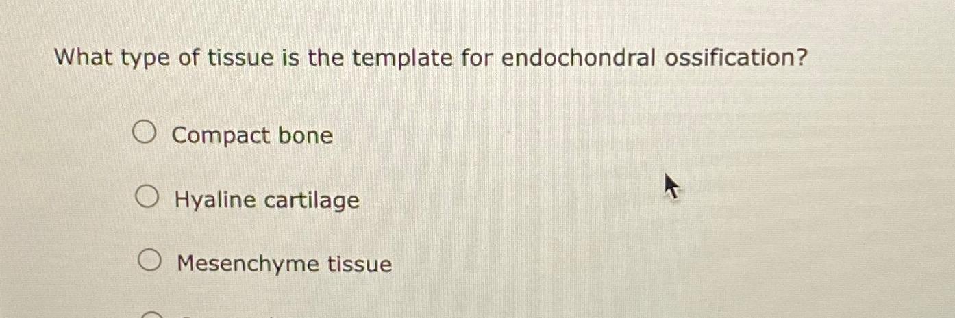 Solved What type of tissue is the template for endochondral | Chegg.com