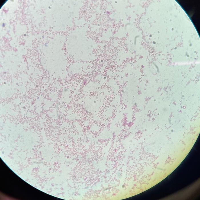 Solved PLEASE HELP, thank you so much1a) what are these two | Chegg.com