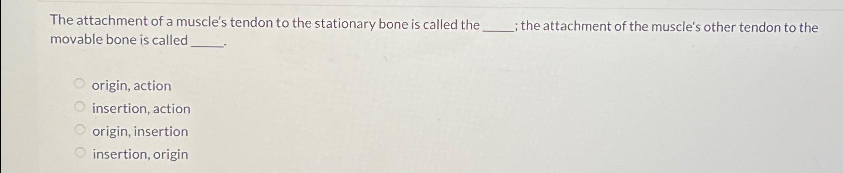 Solved The attachment of a muscle's tendon to the stationary | Chegg.com