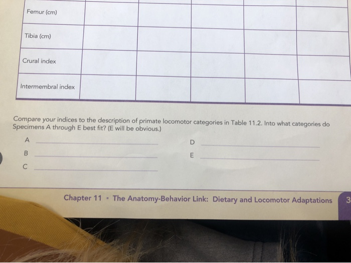 Femur (cm) Tibia (cm) Crural index Intermembral index | Chegg.com