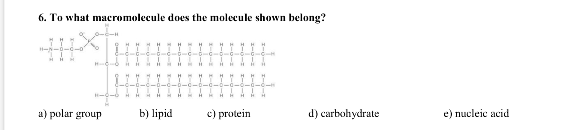 Solved To what macromolecule does the molecule shown | Chegg.com