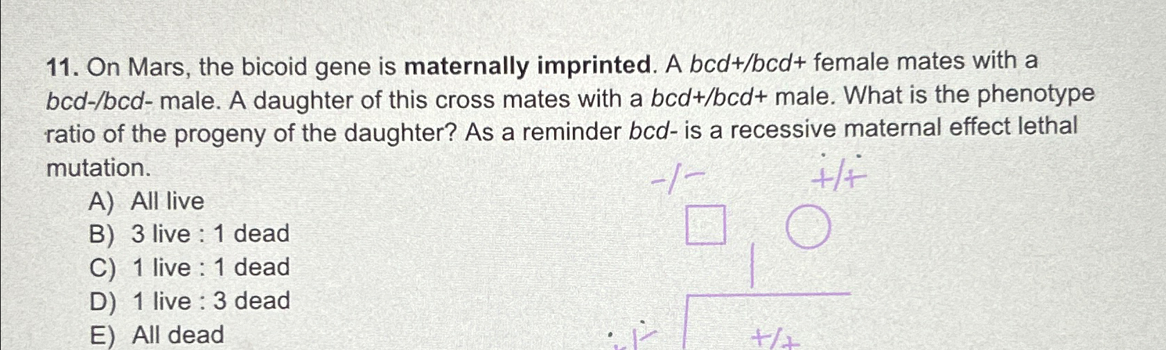 Solved On Mars, the bicoid gene is maternally imprinted. A | Chegg.com