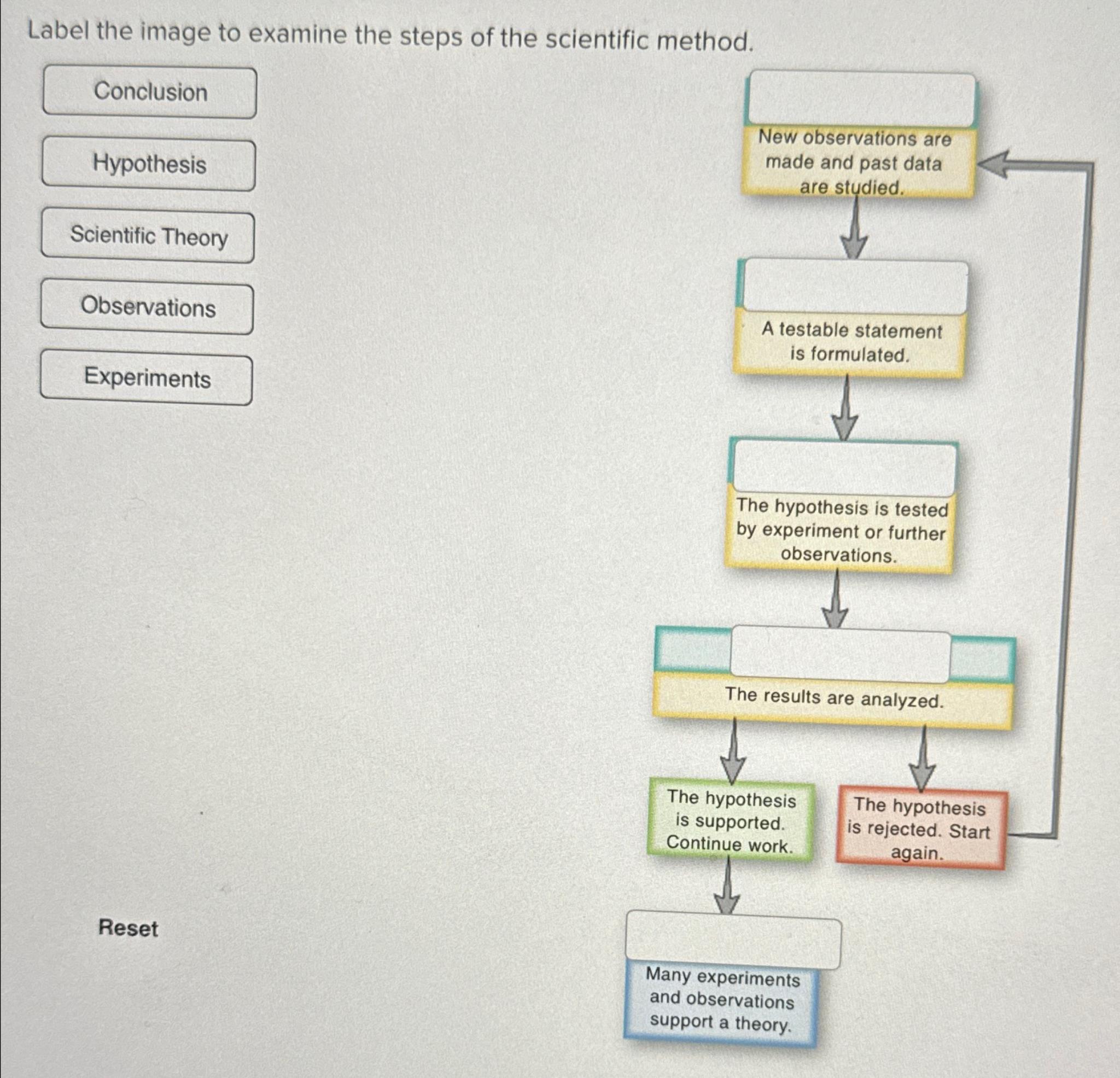 Solved Label the image to examine the steps of the | Chegg.com