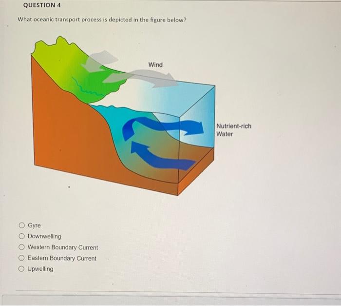 Solved What oceanic transport process is depicted in the | Chegg.com