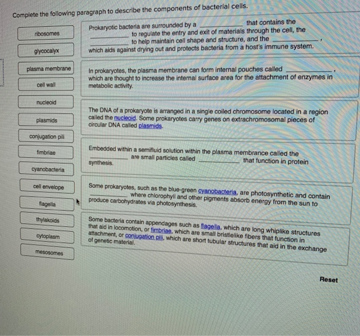 Solved Complete the following paragraph to describe the | Chegg.com