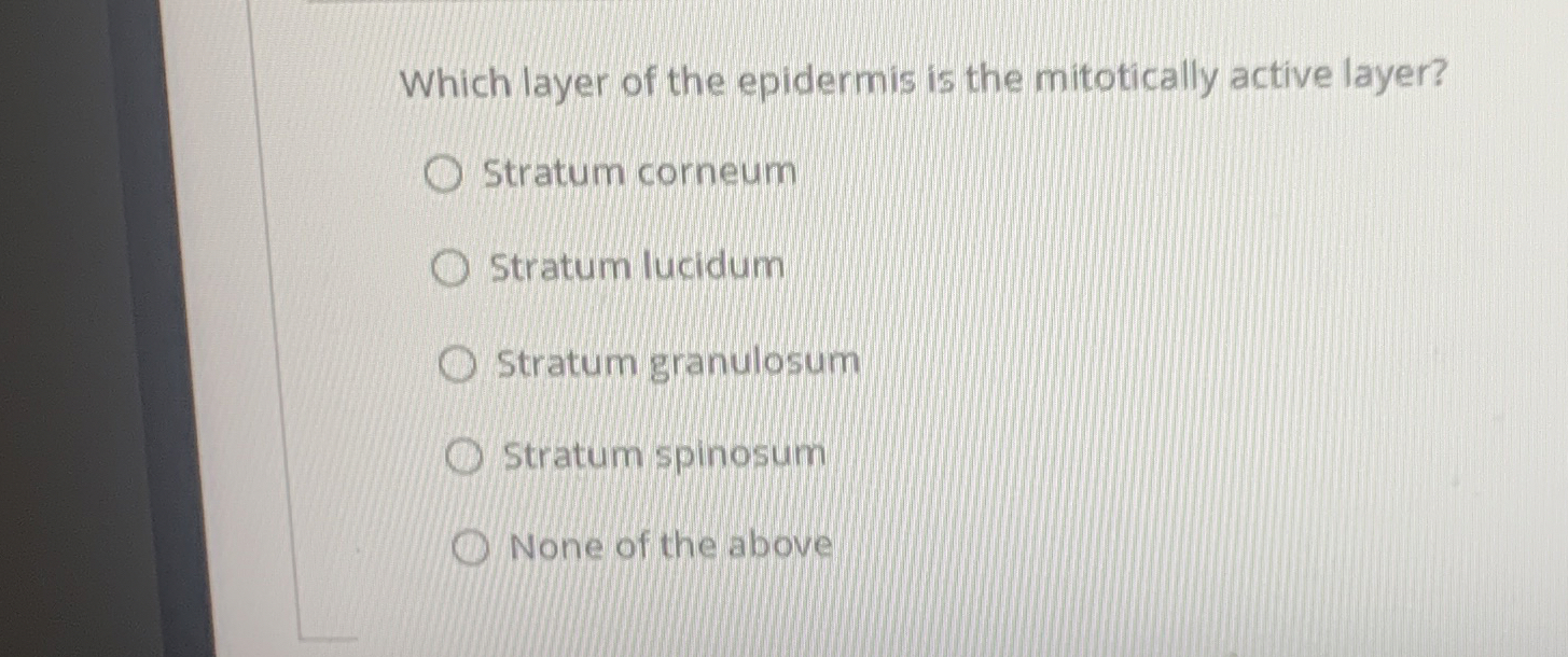 Solved Which layer of the epidermis is the mitotically | Chegg.com
