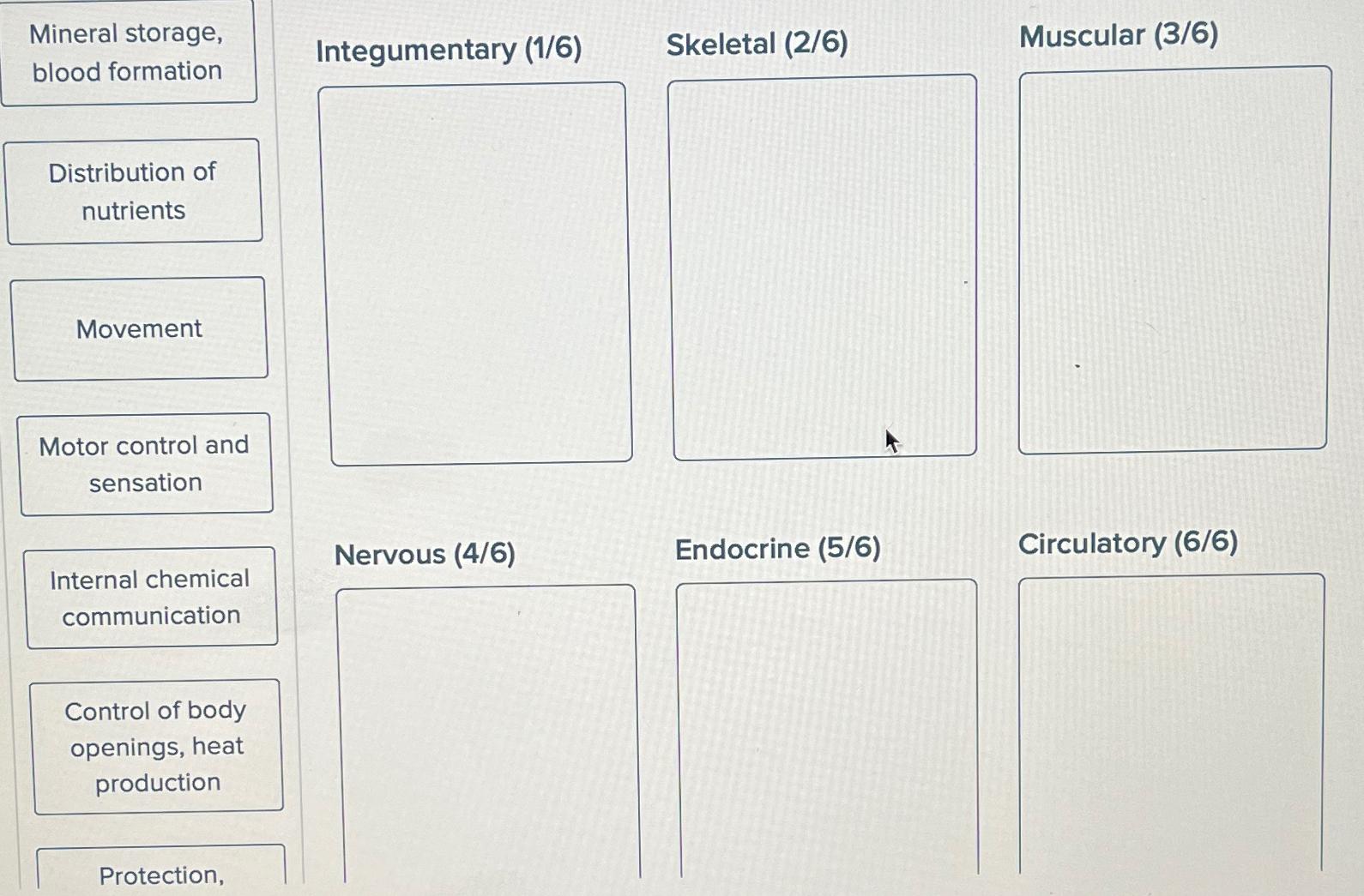 Solved \table[[\table[[Mineral storage,],[blood | Chegg.com