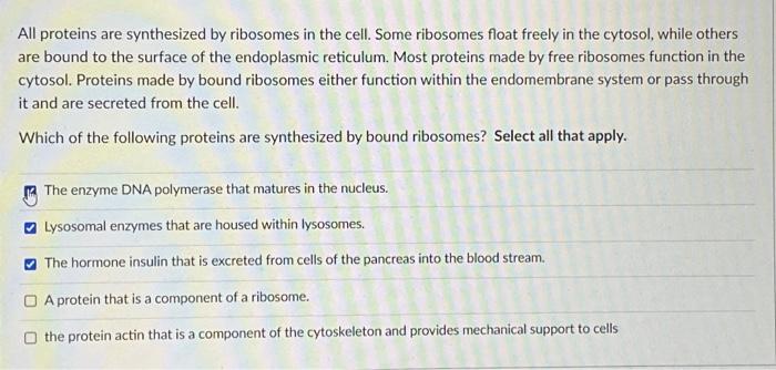 Solved All proteins are synthesized by ribosomes in the | Chegg.com