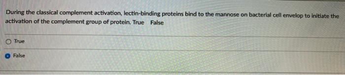 Solved During the classical complement activation, | Chegg.com