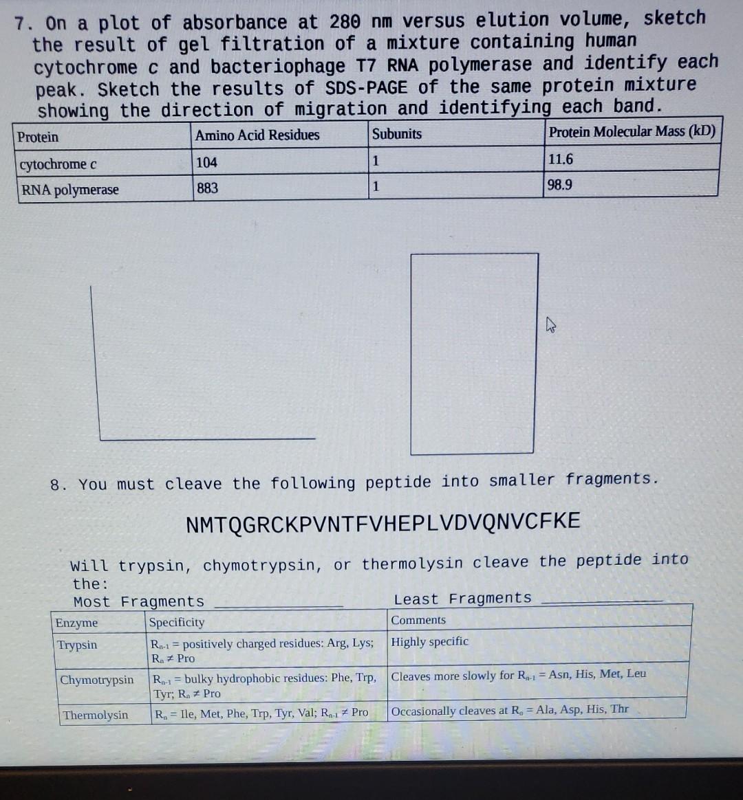 Solved 7. On a plot of absorbance at 280 nm versus elution | Chegg.com