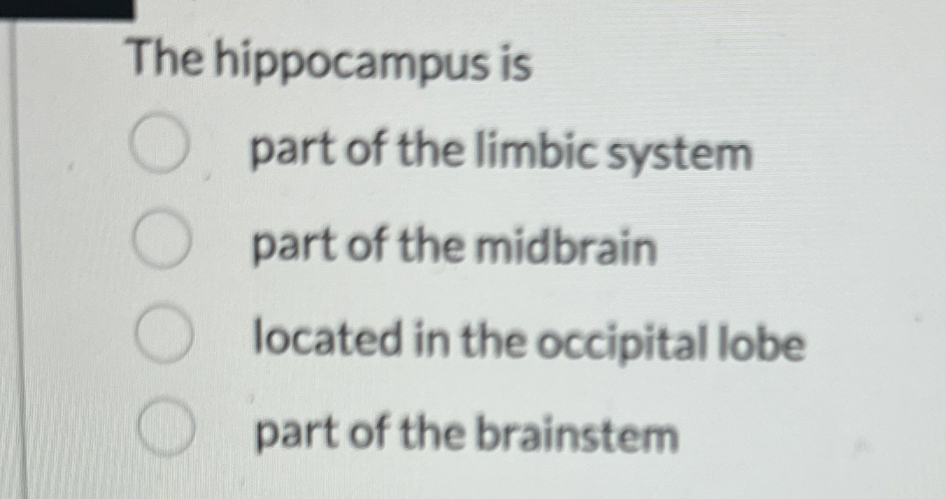 Solved The hippocampus ispart of the limbic systempart of | Chegg.com