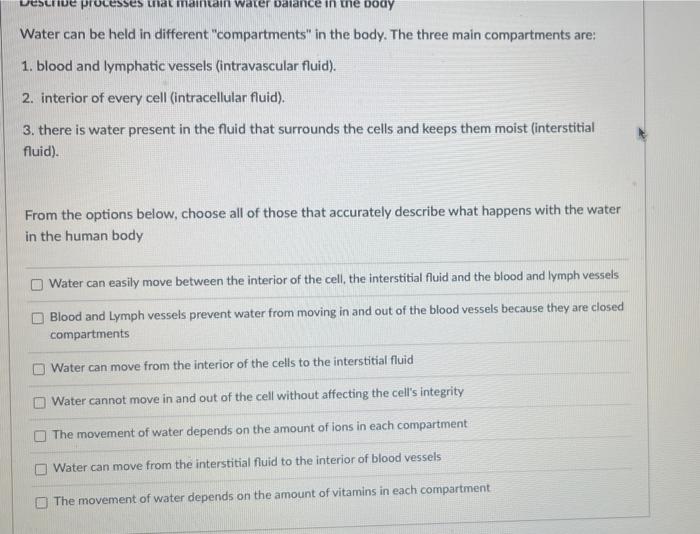 Solved processes that maintain water balance in the body | Chegg.com