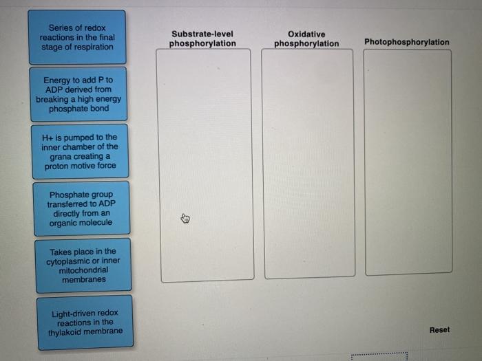 Solved Assess the phrases that describe components of | Chegg.com