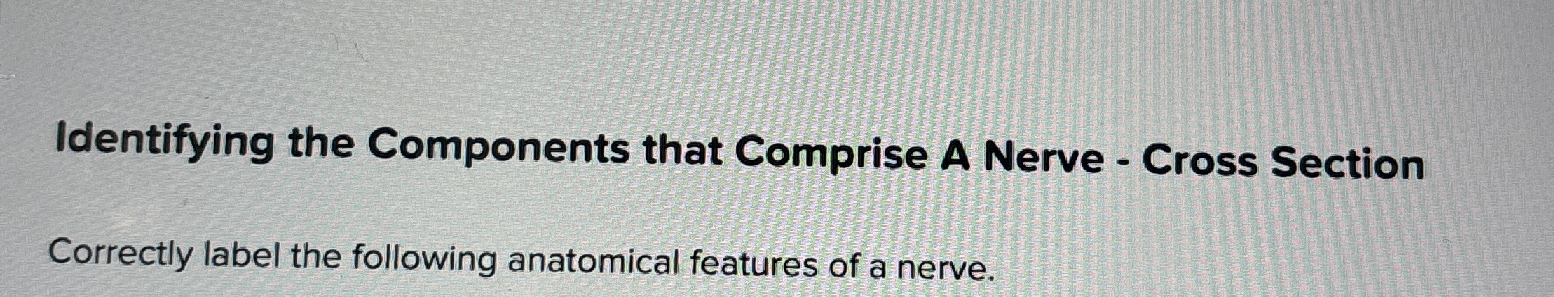 Solved Identifying the Components that Comprise A Nerve - | Chegg.com