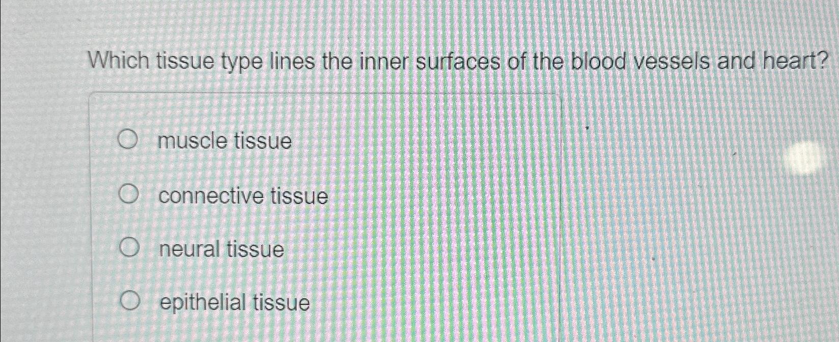 Solved Which tissue type lines the inner surfaces of the | Chegg.com