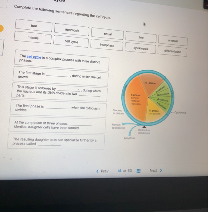 Solved Complete the following sentences regarding the cell | Chegg.com
