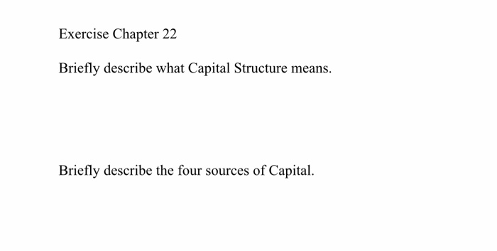 Solved Exercise Chapter 22 Briefly describe what Capital | Chegg.com