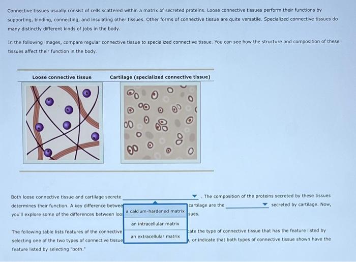Solved 1. Connective tissue Connective tissues usually | Chegg.com
