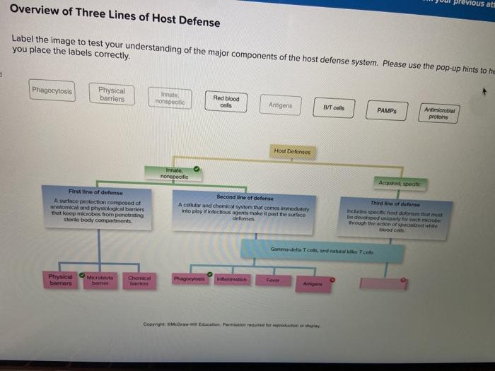 Solved revious att Overview of Three Lines of Host Defense | Chegg.com