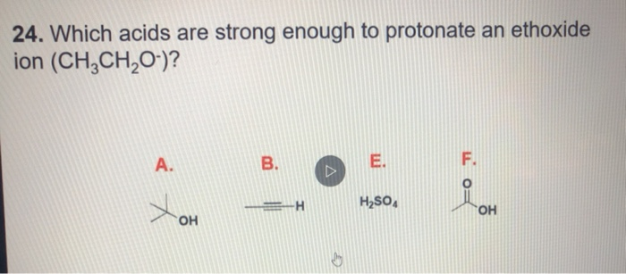 Solved 24. Which acids are strong enough to protonate an | Chegg.com