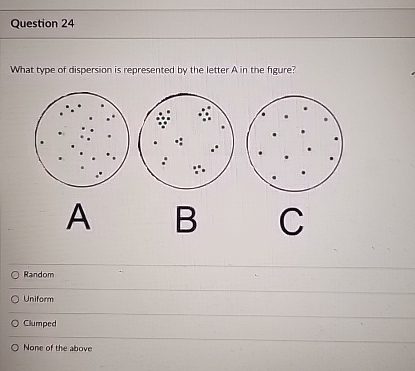 Solved Question 24What type of dispersion is represented by | Chegg.com