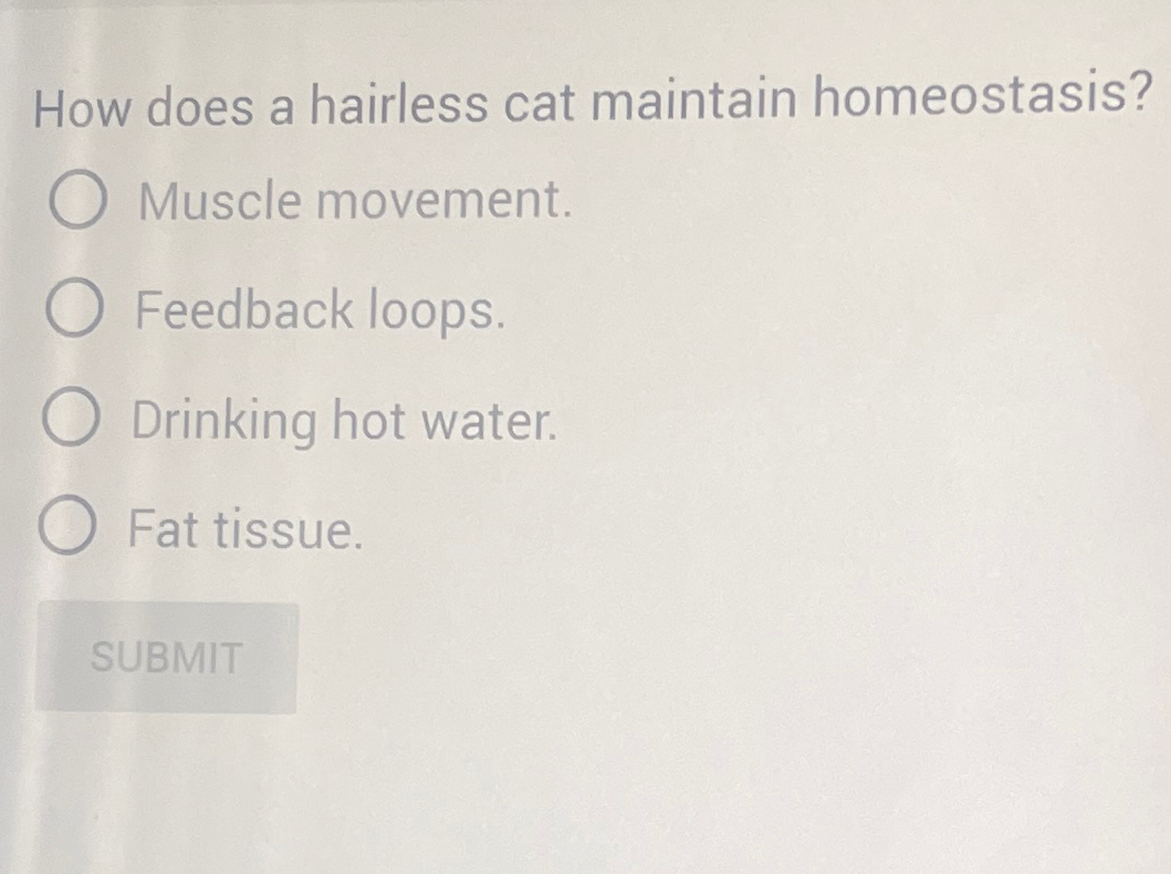 Solved How does a hairless cat maintain homeostasis?Muscle | Chegg.com