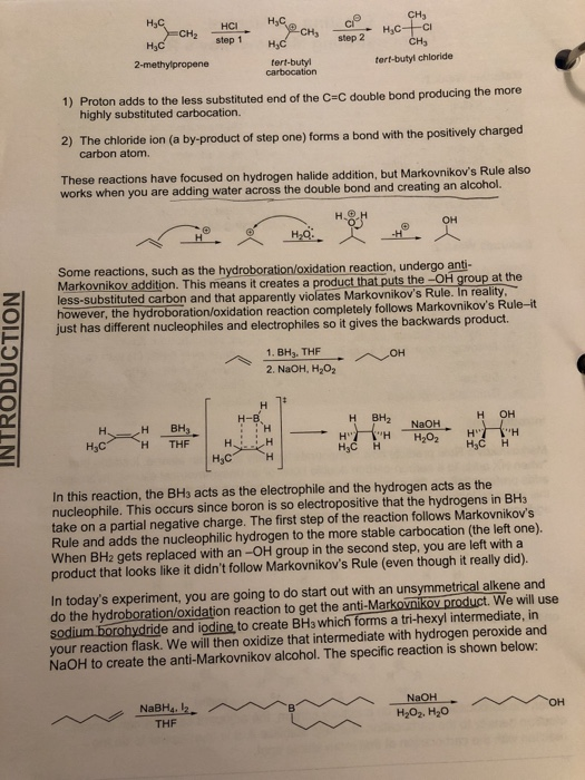 1. Draw the two structures for the Markovnikov and | Chegg.com