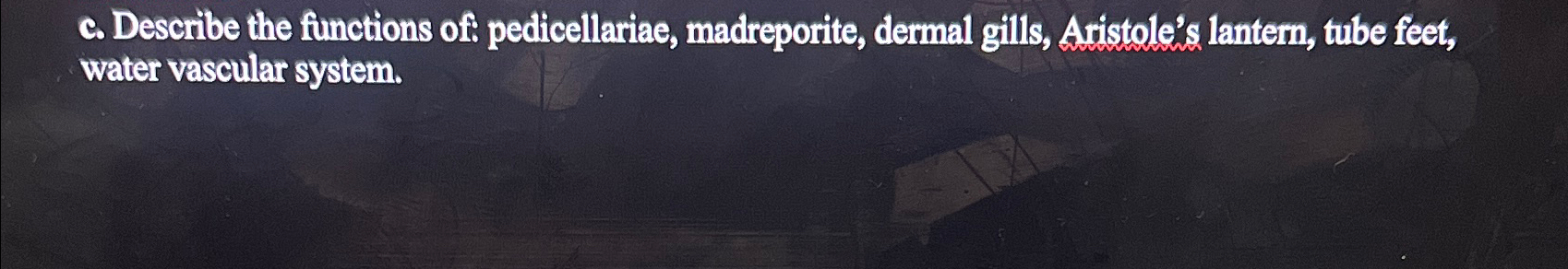 Solved C. ﻿Describe the functions of pedicellariae, | Chegg.com