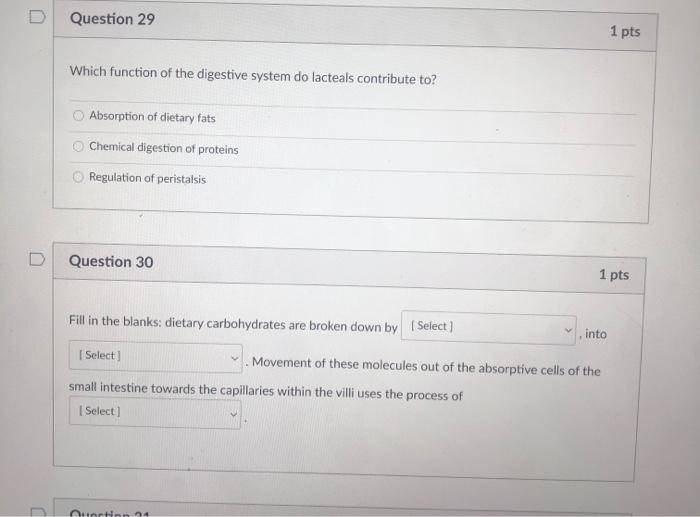 Solved What is the function of the circular folds found in | Chegg.com
