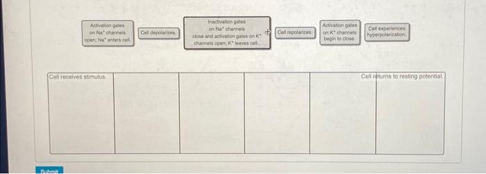 Solved help me to understand the sequence if events in an | Chegg.com