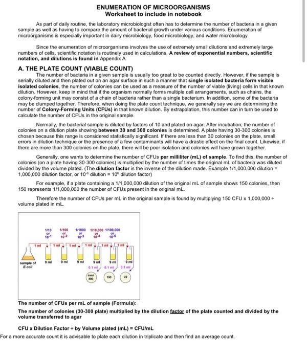 Solved ENUMERATION OF MICROORGANISMS Worksheet to include in | Chegg.com