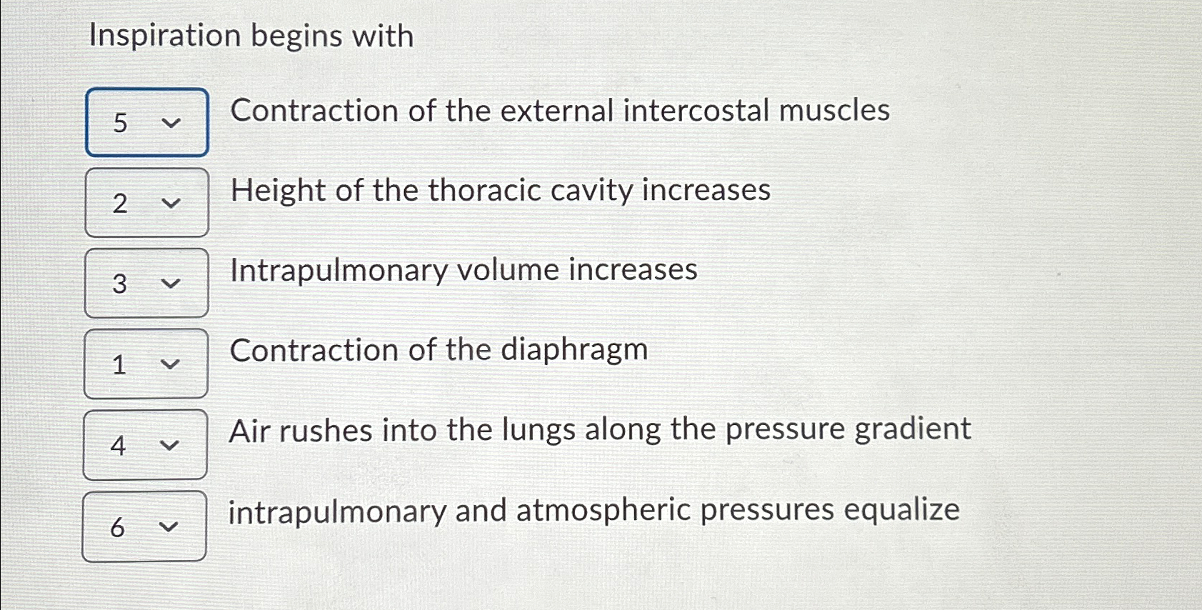 Solved Inspiration begins withContraction of the external | Chegg.com