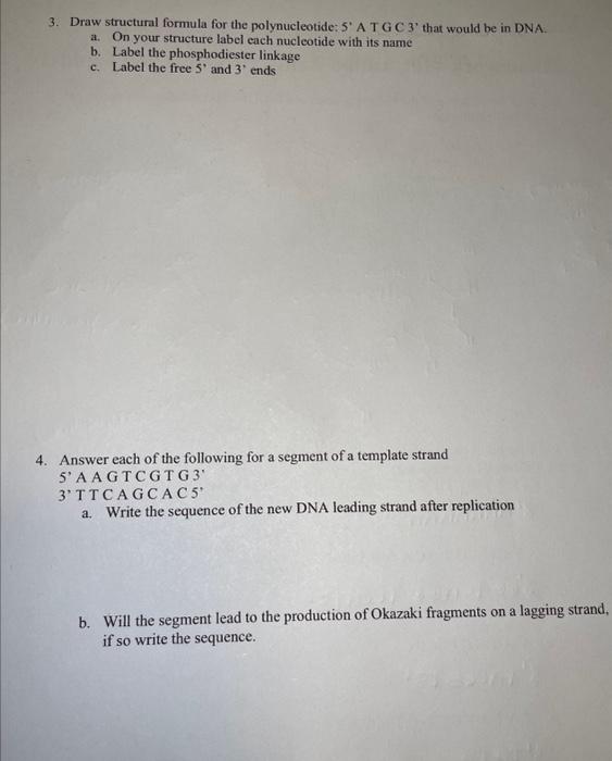 Solved 3. Draw structural formula for the polynucleotide: 5′ | Chegg.com