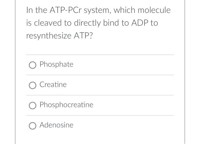 Solved In the ATP-PCr system, which molecule is cleaved to | Chegg.com