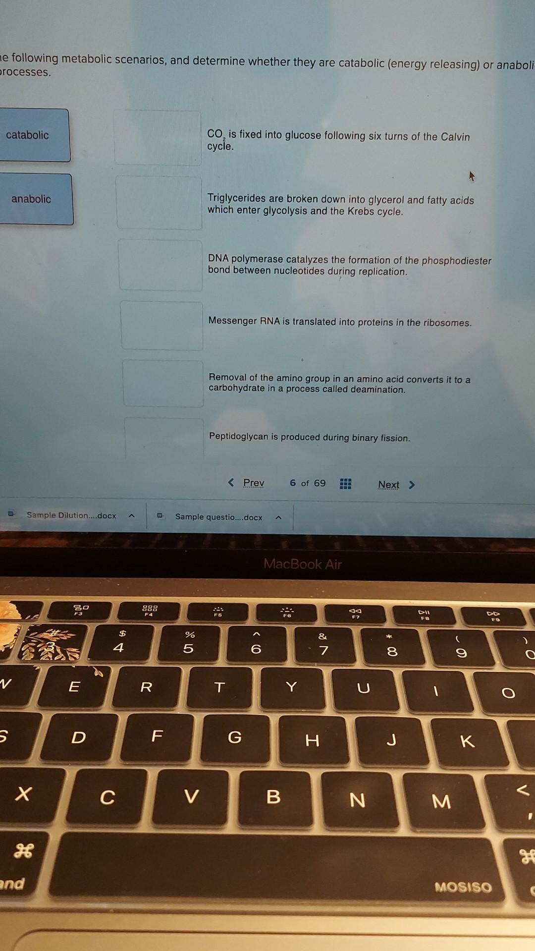 Solved Cosider the following metabolic scenarios ad | Chegg.com