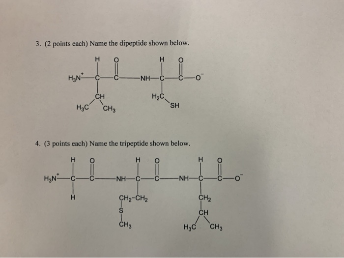 Solved 3. (2 points each) Name the dipeptide shown below. H | Chegg.com