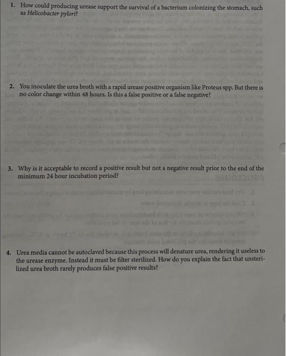 Solved 1. How could producing urease support the survival of | Chegg.com