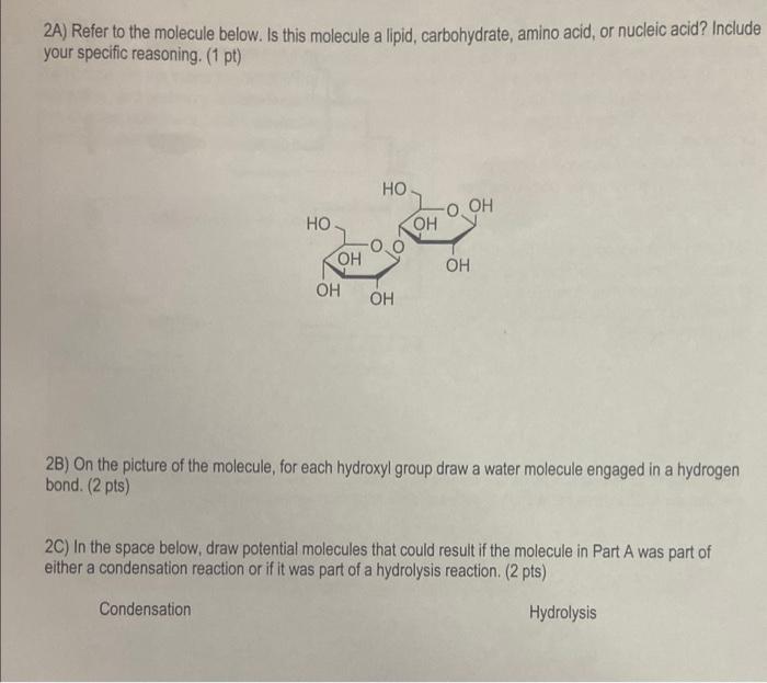 Solved 2A) Refer to the molecule below. Is this molecule a | Chegg.com