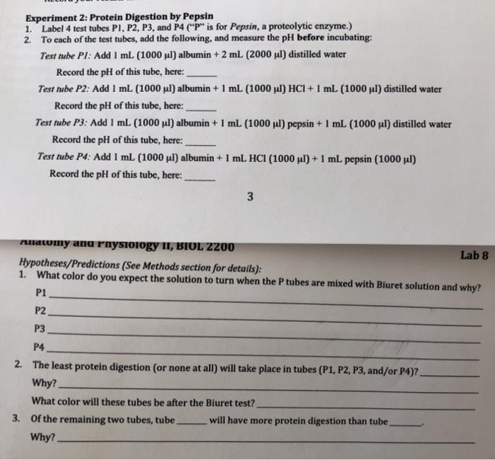 Solved Experiment 2: Protein Digestion by Pepsin 1. Label 4 | Chegg.com