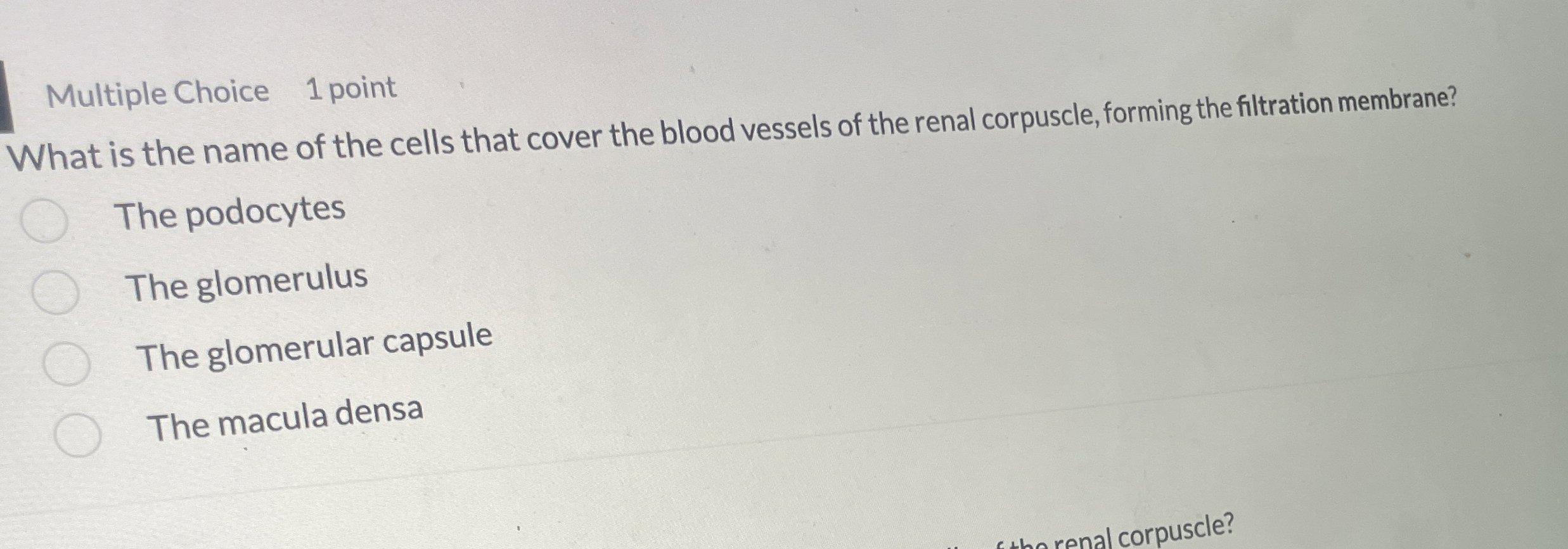 Solved Multiple Choice1 ﻿pointWhat is the name of the cells | Chegg.com