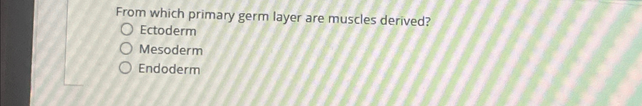 Solved From which primary germ layer are muscles | Chegg.com