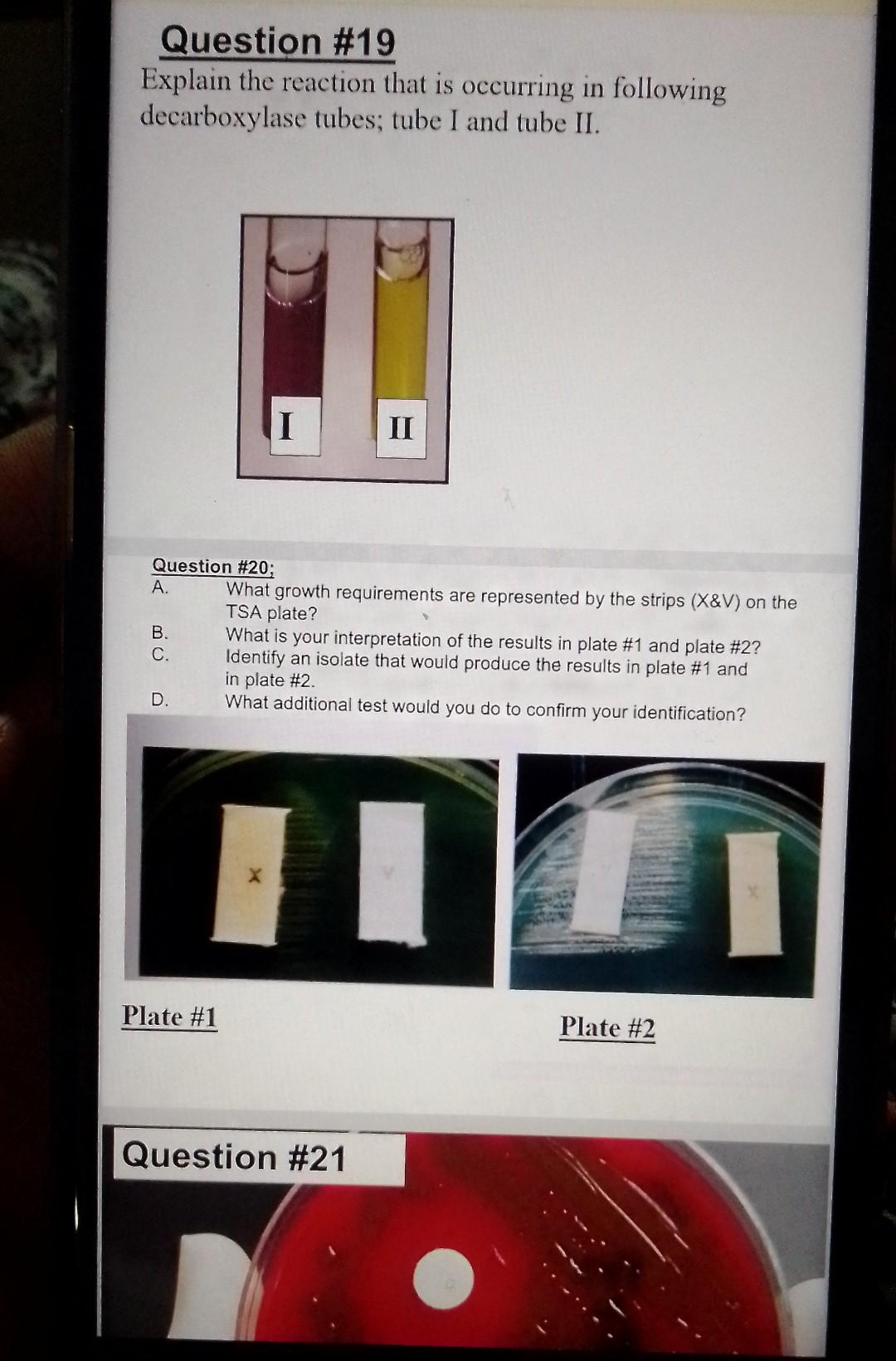 Solved Question #1 A B C D E Nitrate reagent A & B has been | Chegg.com