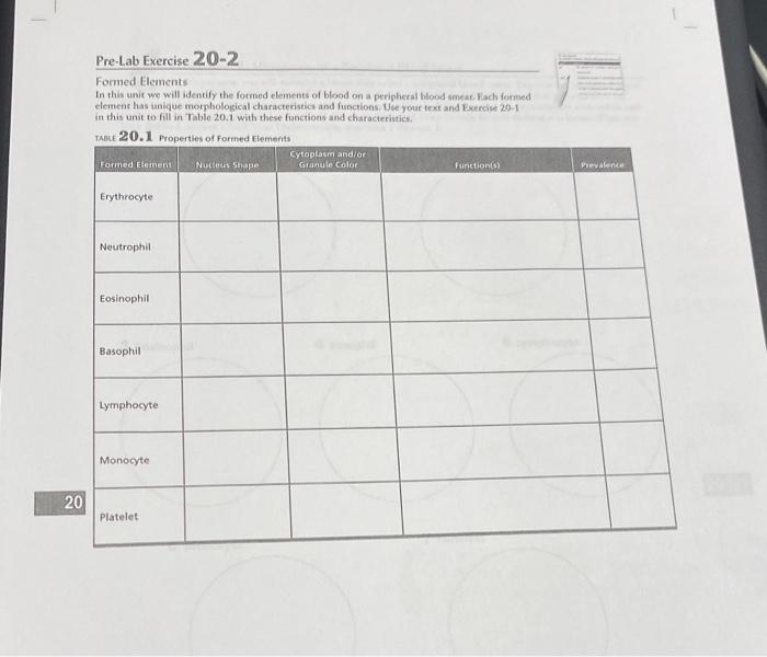 Solved Formed Elements? In this unit we will identify the | Chegg.com
