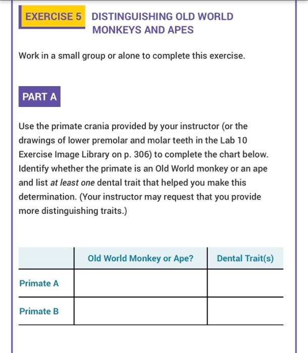 Solved: EXERCISE 5 DISTINGUISHING OLD WORLD MONKEYS AND AP... | Chegg.com