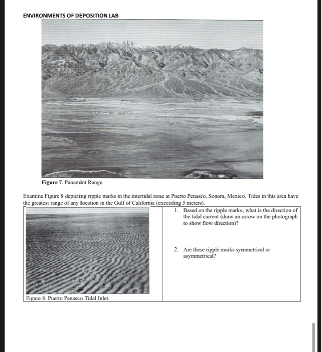 Solved ENVIRONMENTS OF DEPOSITION LAB Activity 1.4: Reading | Chegg.com