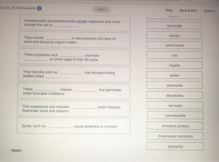 Solved ED Ch. 21 Homework 6 Help Save & Exit Submit | Chegg.com