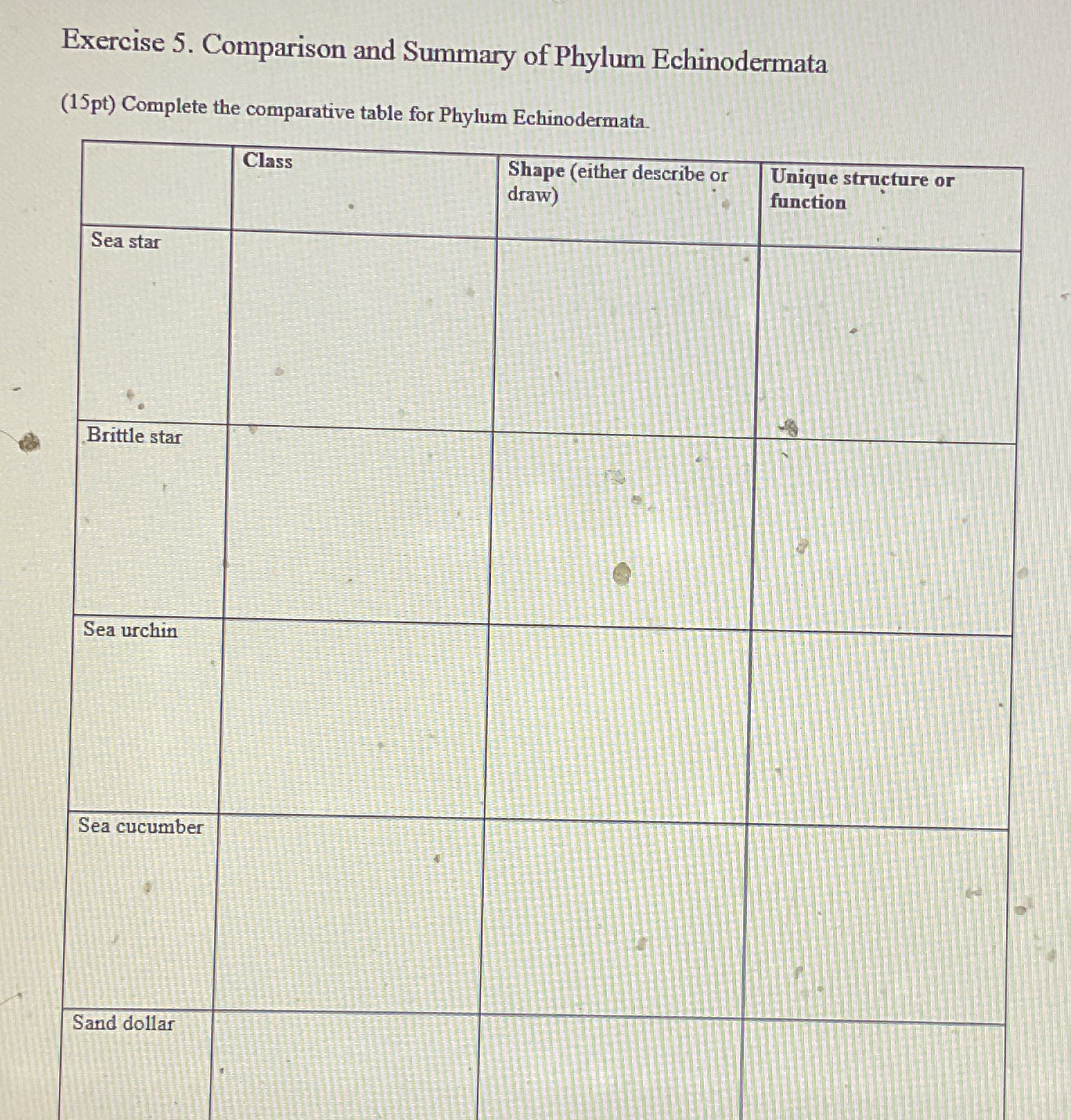Solved Exercise 5. ﻿Comparison and Summary of Phylum | Chegg.com