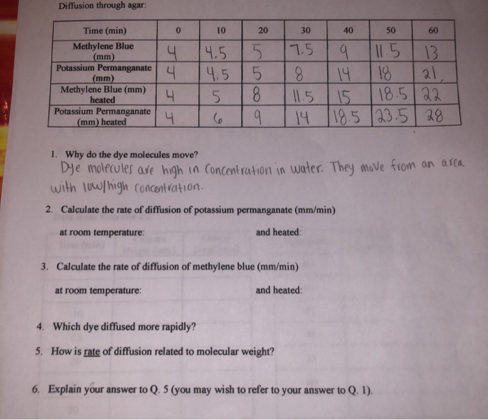 Solved Diffusion through agar: 0 10 20 30 40 50 60 7.5 Time | Chegg.com