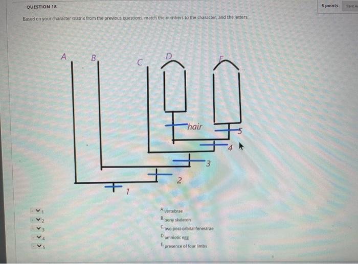 Based on your character matrix from the previous | Chegg.com